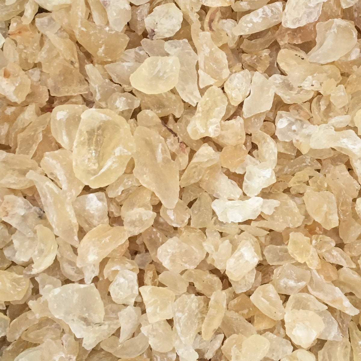 BABUL GUNDAR – DAKSHA DRY FRUITS