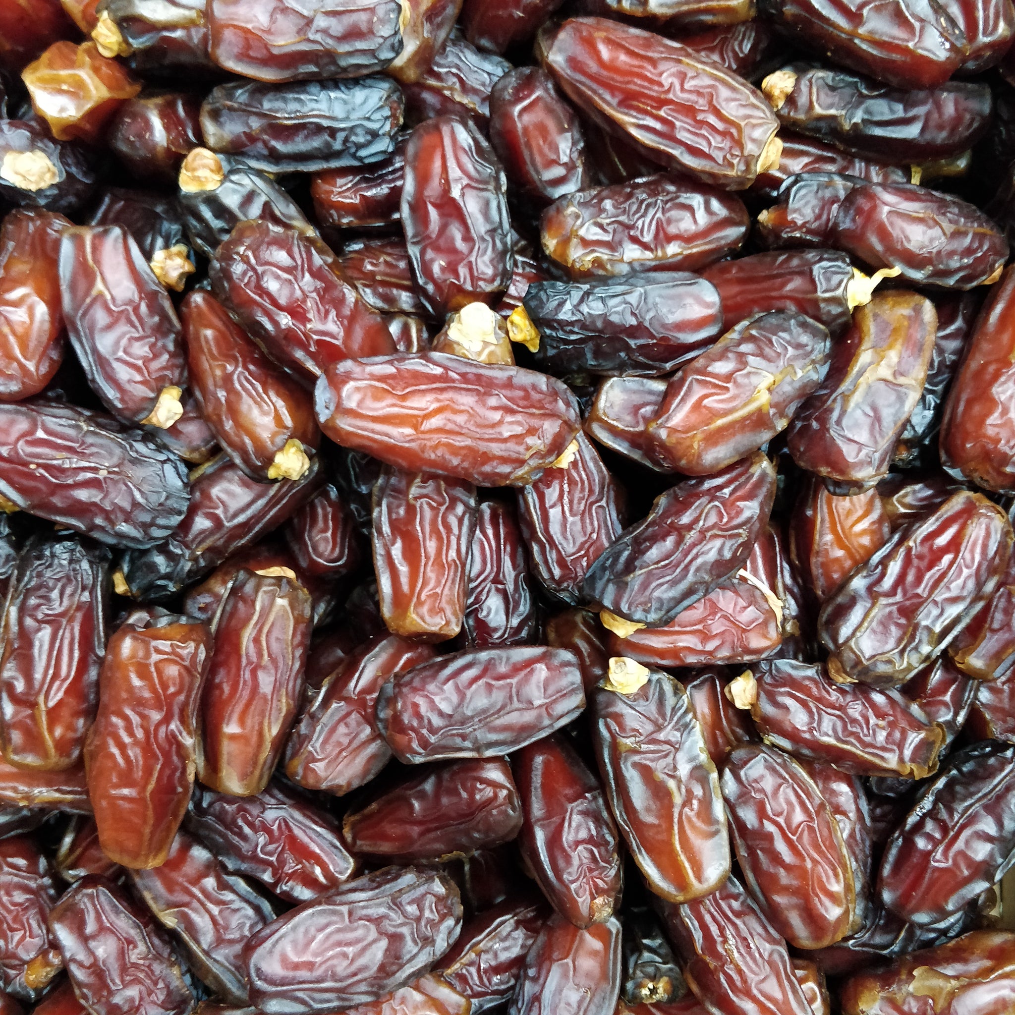 SELECTED MABROOM DATES – DAKSHA DRY FRUITS
