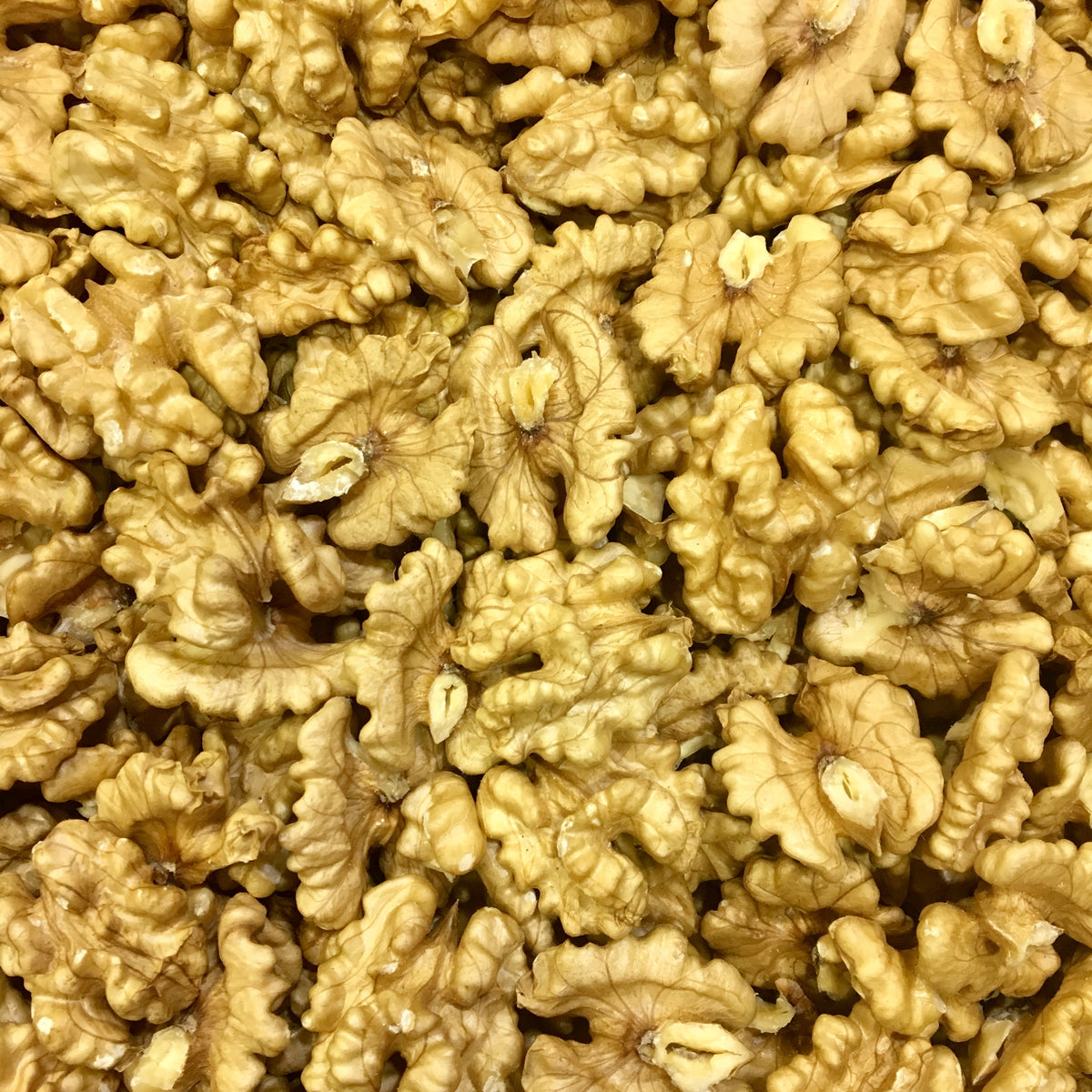 CHILEAN WALNUTS / AKHROT - SELECTED MAGAJ – DAKSHA DRY FRUITS