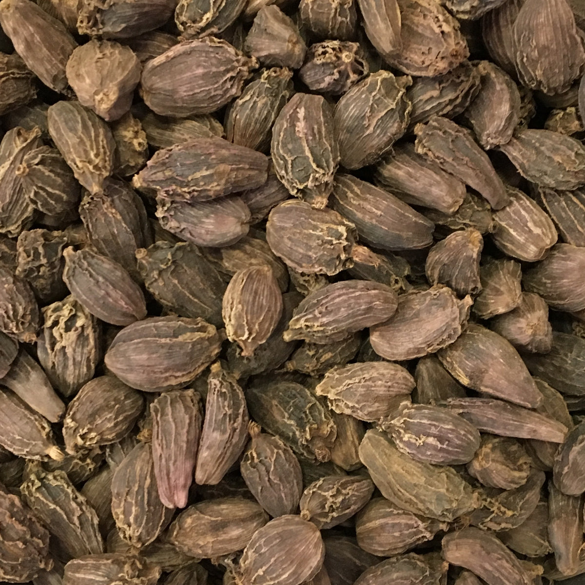 BLACK CARDAMON (ELCHA) – DAKSHA DRY FRUITS