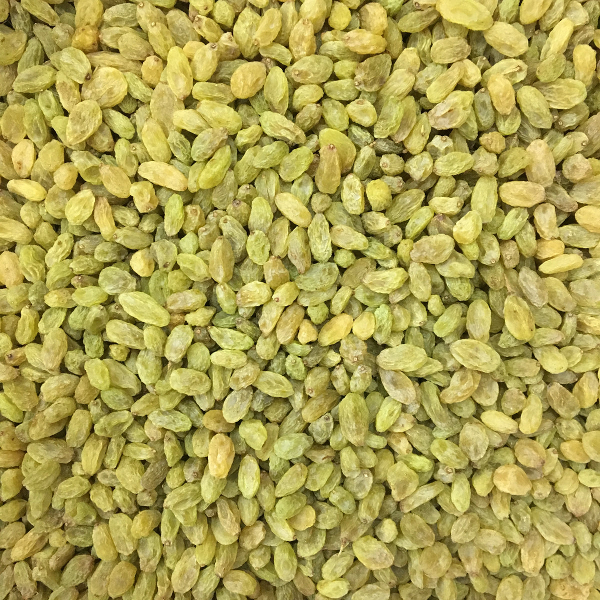 AFGHAN RAISINS / KISHMISH – DAKSHA DRY FRUITS