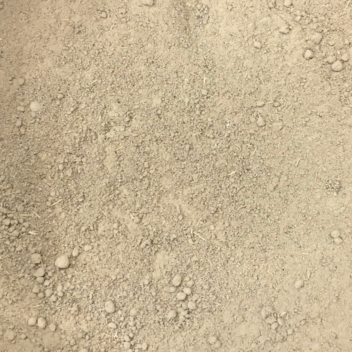 PIMPRI POWDER – DAKSHA DRY FRUITS